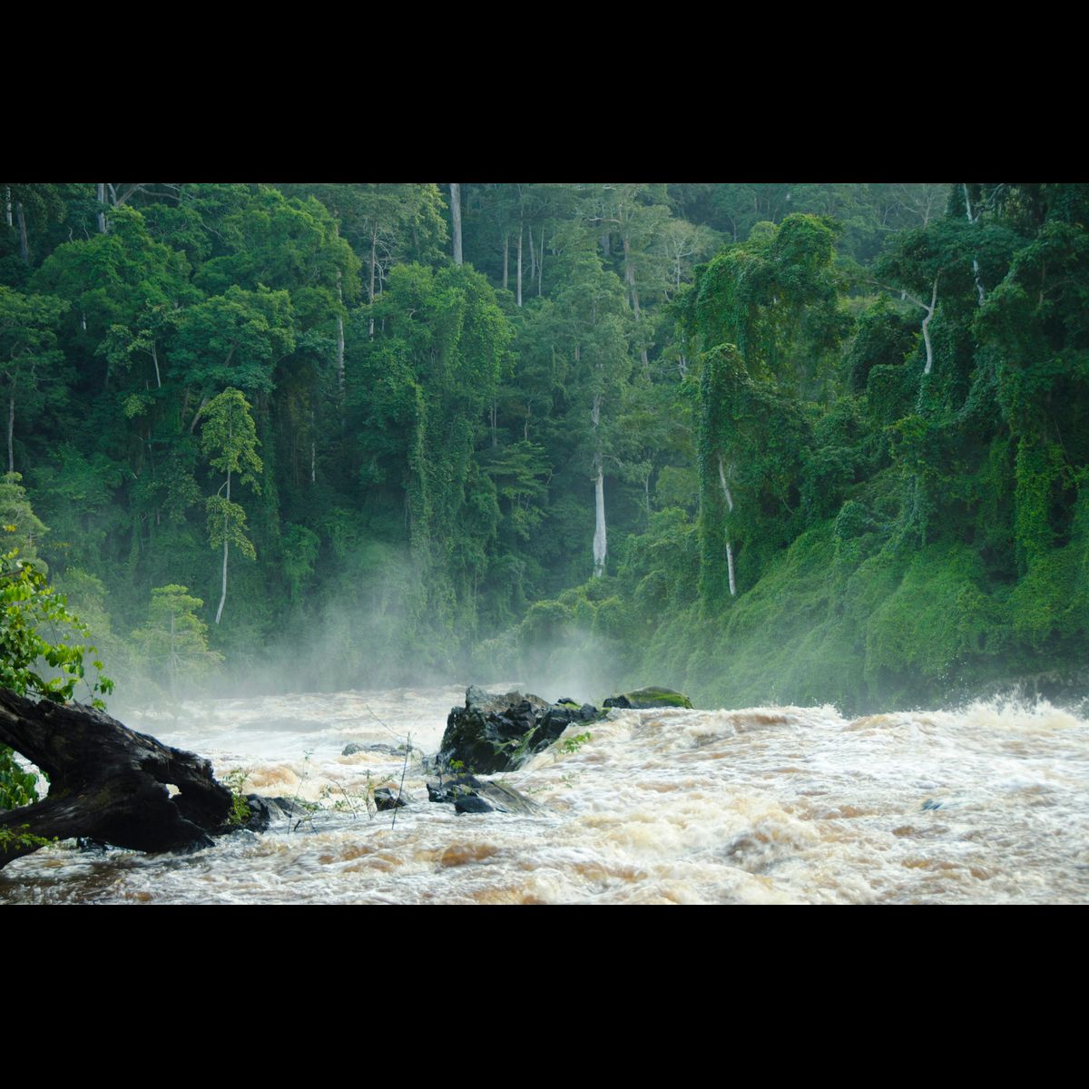 Cameroon's National Ecosystem Assessment: Developing a knowledge base ...