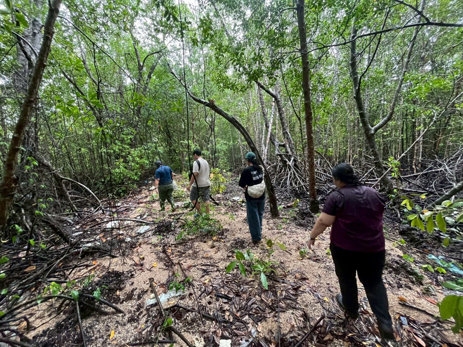 Weaving Indigenous and Local Knowledge with Geographic Information ...
