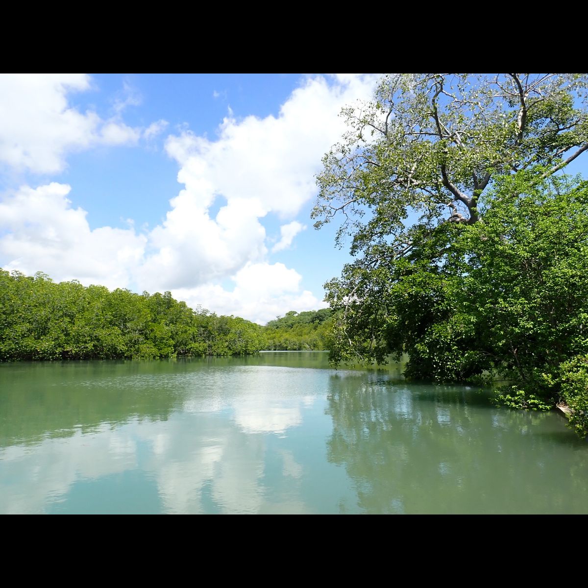 Weaving Indigenous and Local Knowledge with Geographic Information ...